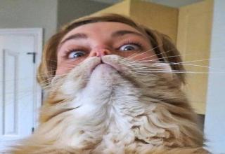 41 Awkward Photos That Will Make You Look Twice - Wtf Gallery | eBaum's ...