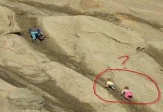 30 Cases of Bad Parenting - Gallery | eBaum's World