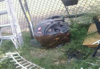 Creepy, Gross, Scary, And Bizarre Things - Gross Gallery | eBaum's World