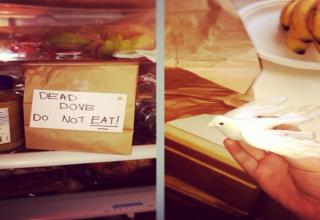 21 Perfect Pranks for Every Occasion - Funny Gallery | eBaum's World