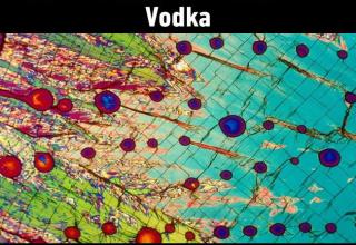 25 Stunning Photos of Everyday Things Under A Microscope - Ftw Gallery ...