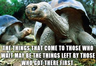 18 Random Pieces of Life Advice - Funny Gallery | eBaum's World