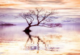 32 Absolutely Incredible Images! - Gallery | eBaum's World