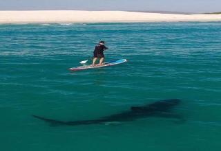 28 Awesome Fun Pics For Your Enjoyment! - Funny Gallery | eBaum's World