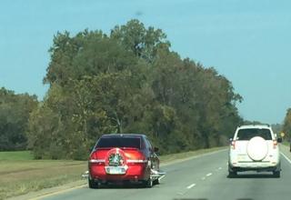 36 Risky Pics To Perk You Up | eBaum's World