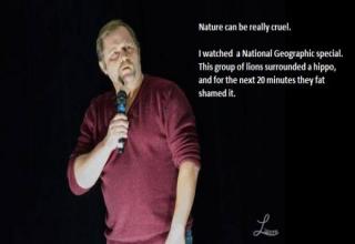 25 Pieces of Stand Up Comedy Gold - Funny Gallery | eBaum's World