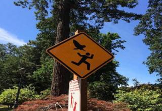 32 Things That Were Unexpected - Wtf Gallery | eBaum's World