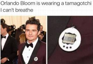 36 Choice Pics To Perk You Up | eBaum's World