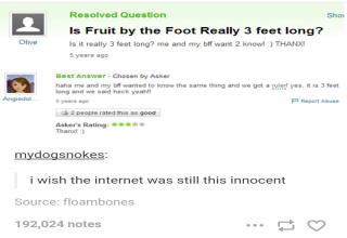 49 Funniest Tumblr Posts Ever - Wow Gallery | eBaum's World