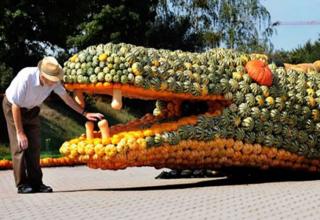 37 Weird, Wild, Wacky and WTF Pics | eBaum's World