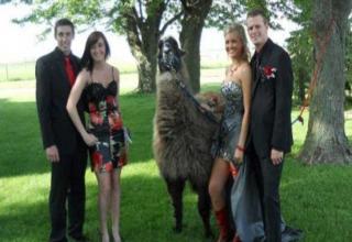 You'll Laugh, You'll Cry, You'll Cringe: 24 Hilarious Prom Pics ...