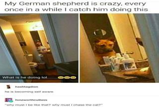 15 Snarky Posts That Are Funny AF - Funny Gallery | eBaum's World