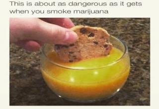 50 Hilarious Stoner Memes That'll Get You Ripped - Funny Gallery ...