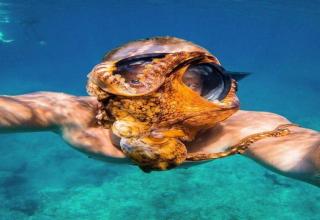 43 Fun and Interesting Pics To Help Pass The Time - Funny Gallery ...