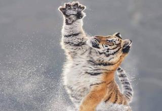 32 Fascinating Photos Filled with Awesomeness - Wow Gallery | eBaum's World