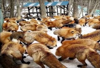 Images that Prove You Just Won the Pic Dump Lottery - Funny Gallery ...