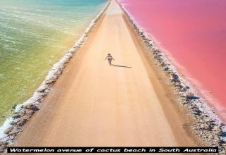 44 Fun Fascinating Photos To Get You Going - Wow Gallery | eBaum's World