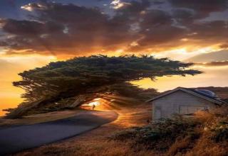 51 Fun Filled Photos to Help Pass the Time - Funny Gallery | eBaum's World