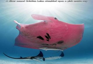 54 Interesting Photos Sure to Pique Your Interest - Wow Gallery | eBaum ...