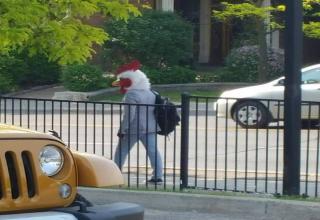 41 Photos That Need a Second Look - Funny Gallery | eBaum's World