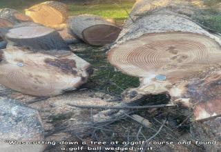 65 Funny, Random, and WTF Pics Anyone Can Enjoy - Funny Gallery | eBaum ...