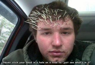 45 Fun Filled Pics And Memes - Funny Gallery | eBaum's World