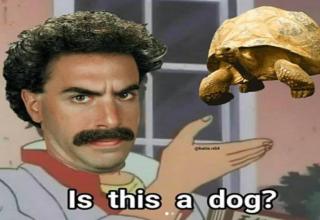 30 'Borat' Memes That Are Very Nice - Funny Gallery | eBaum's World
