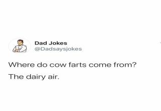 69 Dad Jokes That Test Your Patience - Funny Gallery | eBaum's World
