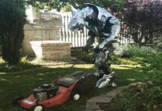 57 Wacky Photos and Fun Pics to Utterly Decimate Your Productivity ...