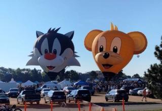 57 Wacky Photos and Fun Pics to Utterly Decimate Your Productivity ...