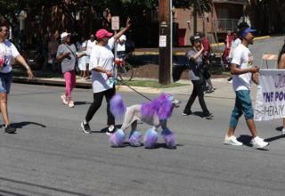 56 Fun Filled Pics and Cool Random Photos for Your Daily Dose - Funny ...