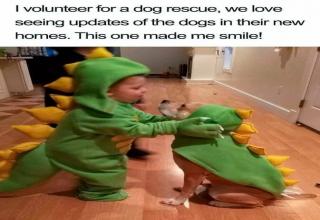 50 Nifty Randoms and Fun Pics For Your Enjoyment - Funny Gallery ...