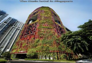 36 Fascinating Pics and Interesting Images to Enjoy - Funny Gallery ...