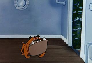 28.