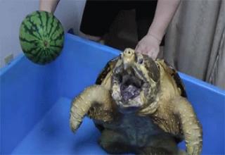 The Blue Light Special: Images and Gifs - Gallery | eBaum's World