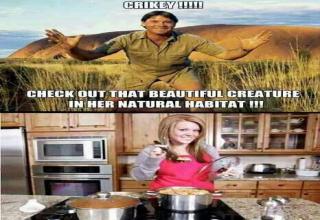 25 Savage AF Memes You May Find Distasteful | eBaum's World