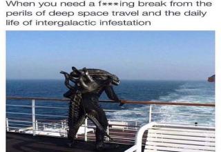 Savage AF Memes To Make Your Skin Crawl | eBaum's World