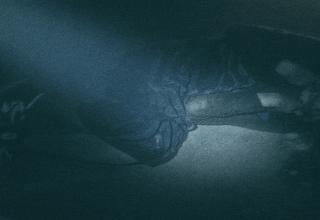 The 33 Scariest GIFs On The Internet | eBaum's World