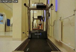 23 Treadmill Wins And Fails - Pop Culture Gallery | eBaum's World