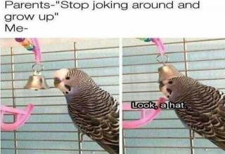 48 Awesome Memes and Pics to Brighten Up Your Day! - Funny Gallery ...