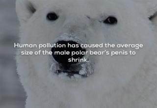 22 Bone Chilling Facts To Keep You Up At Night - Creepy Gallery | eBaum ...