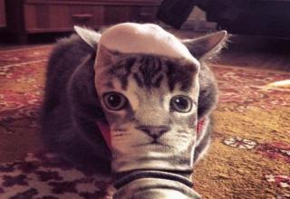 44 Fun Pics Full of WTF - Wtf Gallery | eBaum's World