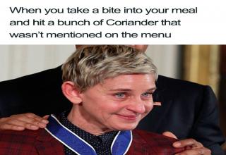 Coriander (Cilantro) Haters Club And Their 50 Funniest Memes - Gallery ...