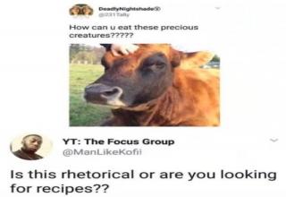 33 Savage AF Roasts That Left A Major Sting | eBaum's World