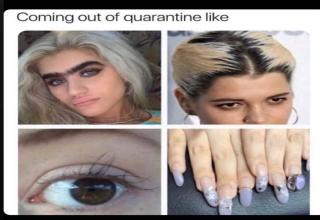 Funny Pics and Memes to Enjoy Under Quarantine (50 Pics) - Gallery ...