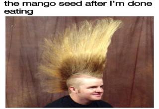 40 Wacky Memes and Pics to Entertain You Right Now - Funny Gallery ...