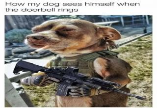 34 Memes to Literally Make You Cry And Also Pee Laughter Juice - Funny ...