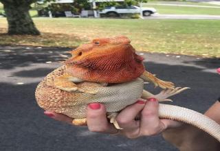 34 Memes to Literally Make You Cry And Also Pee Laughter Juice - Funny ...