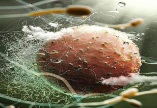 29 Funny Memes From Old and New Times - Funny Gallery | eBaum's World