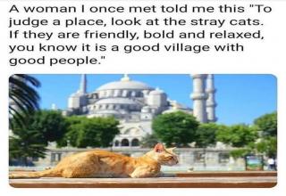 32 Random Memes to Enjoy Whenever You Want - Funny Gallery | eBaum's World